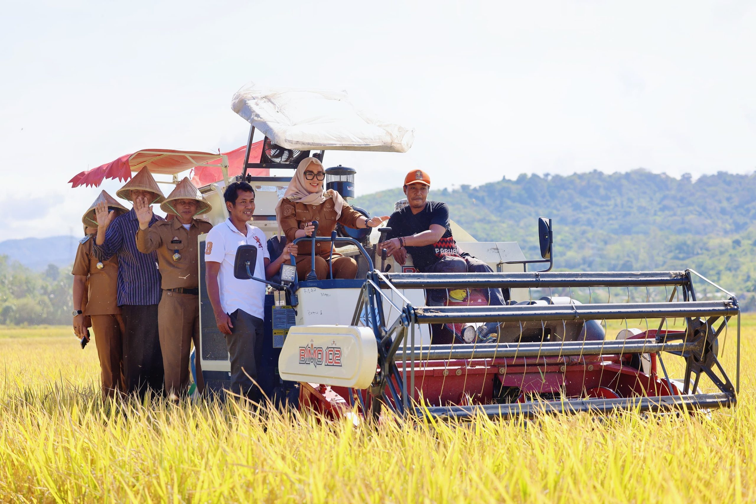 Panen Bersama Padi Musim Tanam (MT) 2025 Varietas Inpari 32, Bupati ...
